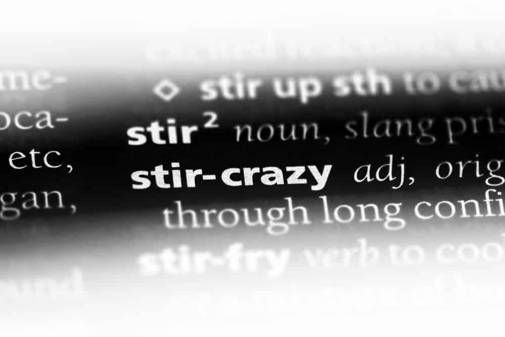 Going Stir Crazy? | Solopreneur Solutions